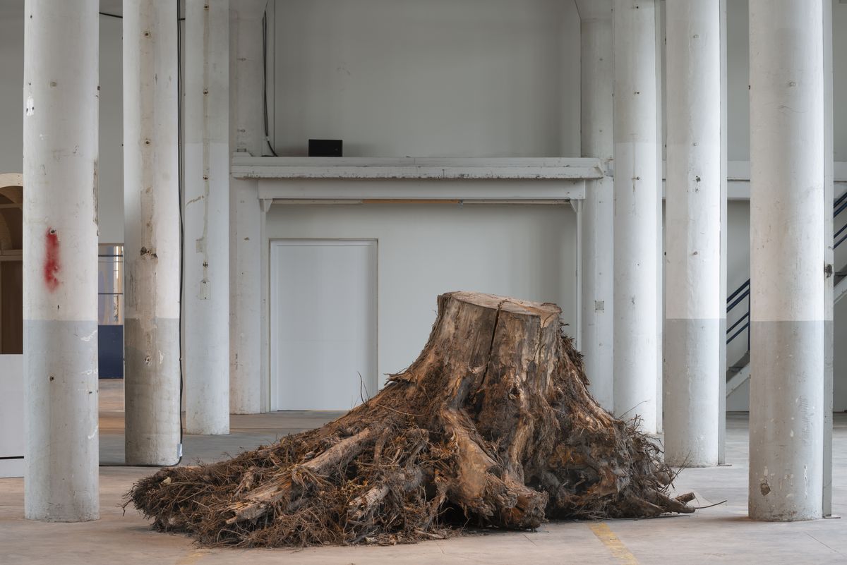 Het HEM – Shock Forest Group