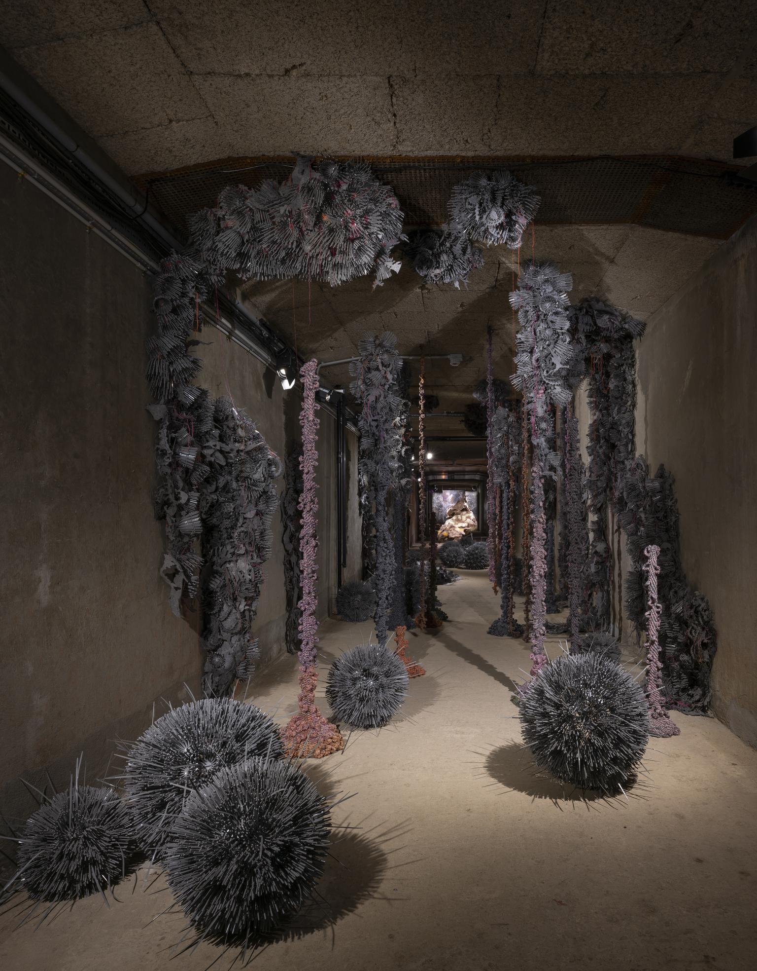 Het HEM – Carla van Riet